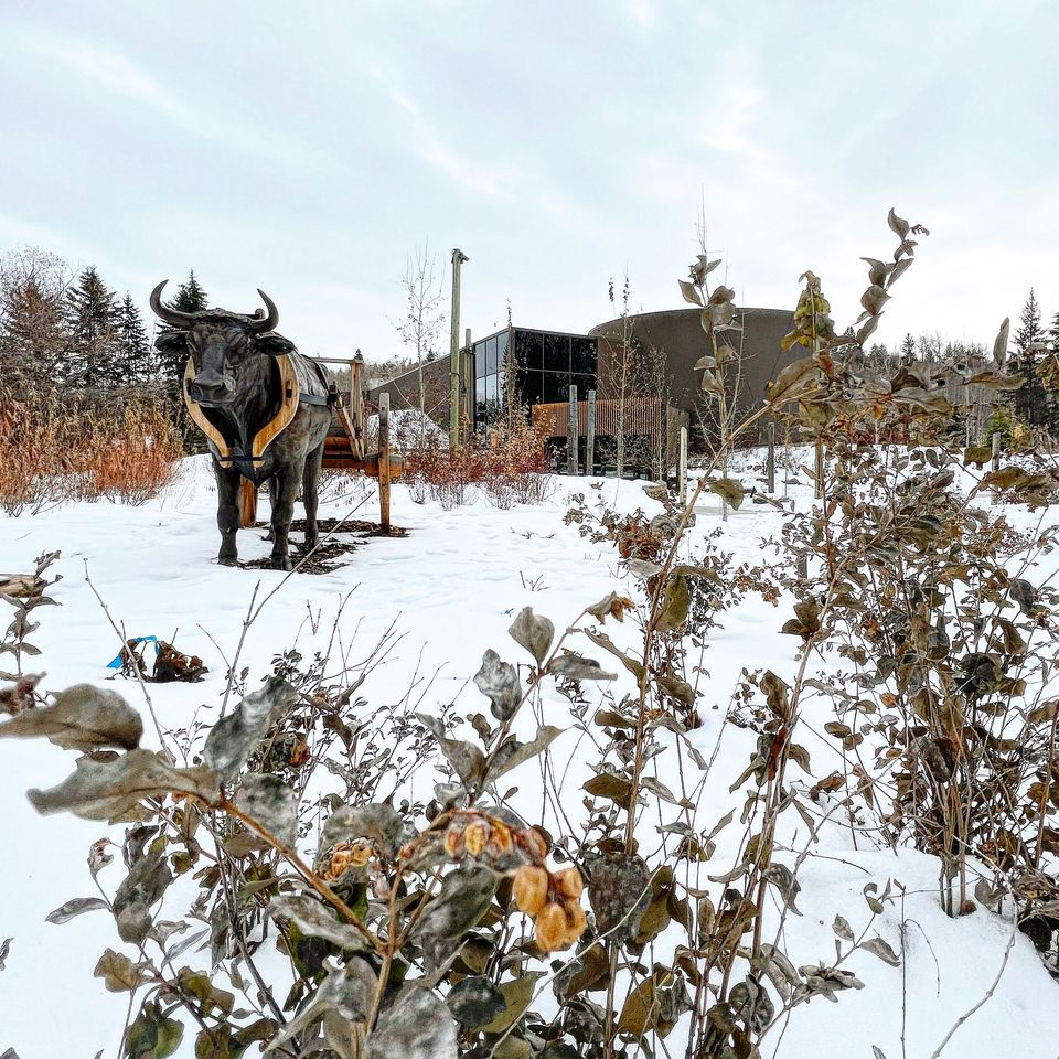 Indigenous Peoples Experience - Winter at Fort Edmonton Park on 14th ...