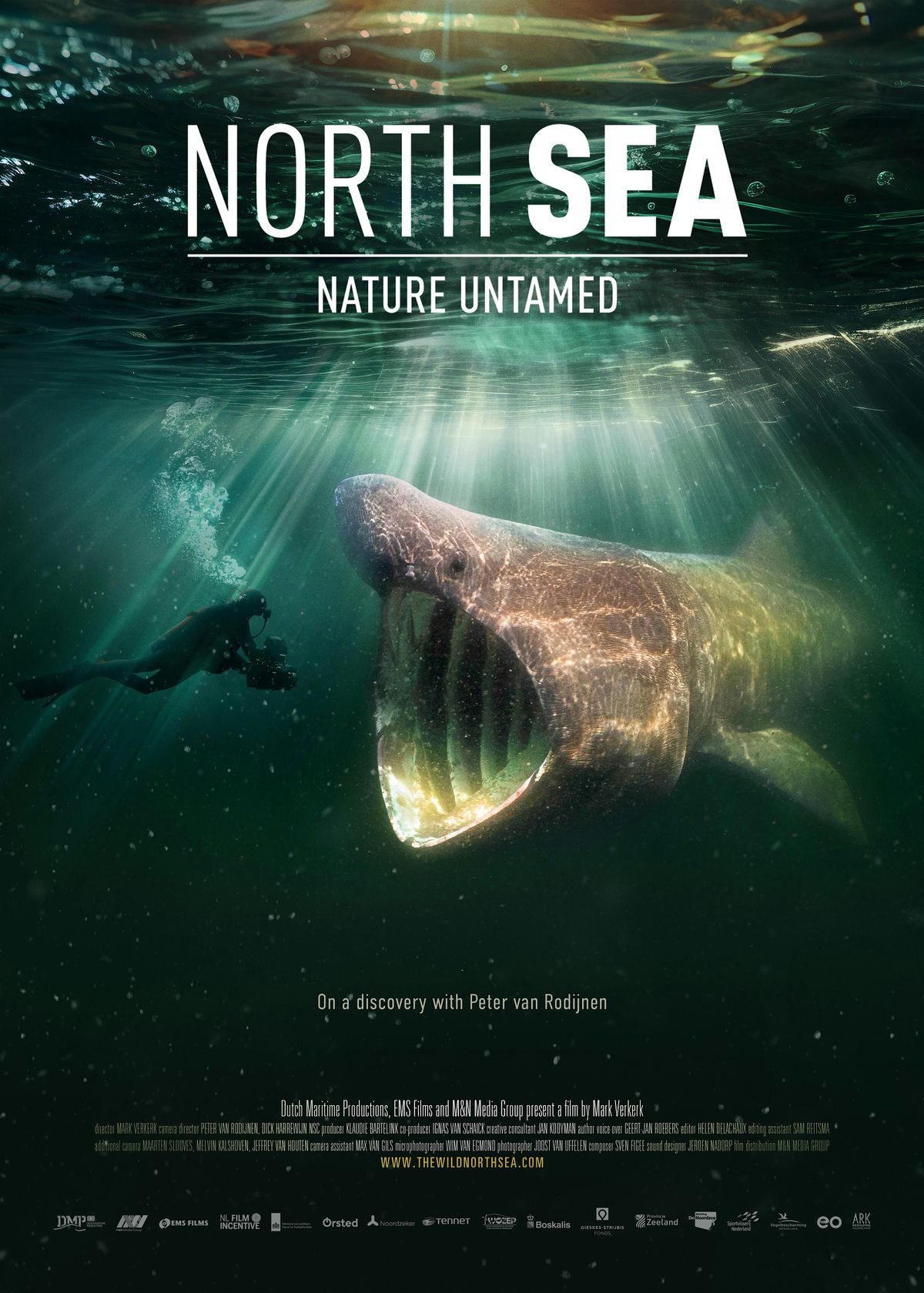 Film Screening & Discussion: North Sea, Nature Untamed (Mark Verkerk, 2025) at The Wynd Centre ...