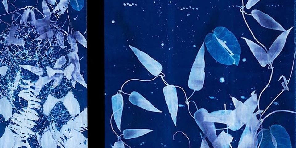 Workshop | Experimental Cyanotype at 313 Northeast 3rd Street,Delray ...
