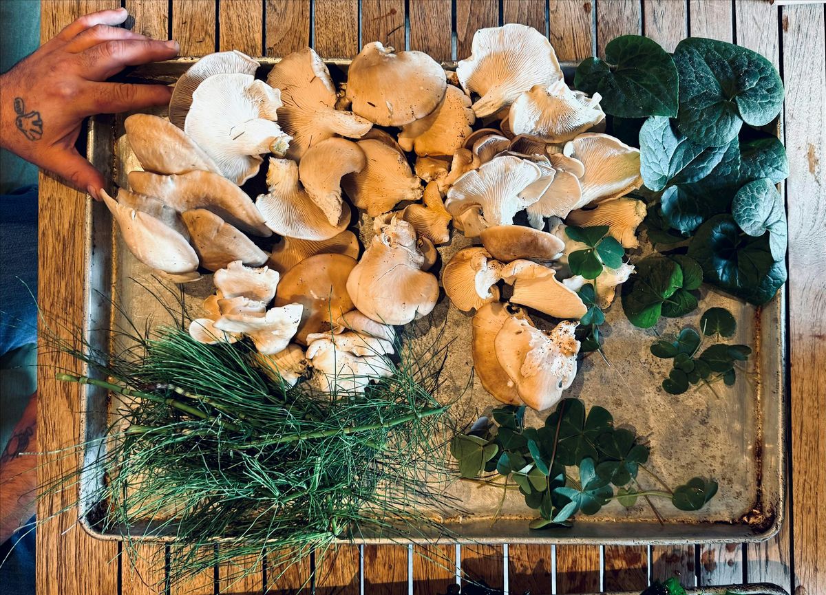 Winter Foraging Feast at Timber Cove Resort, Jenner on 29th January, 2026