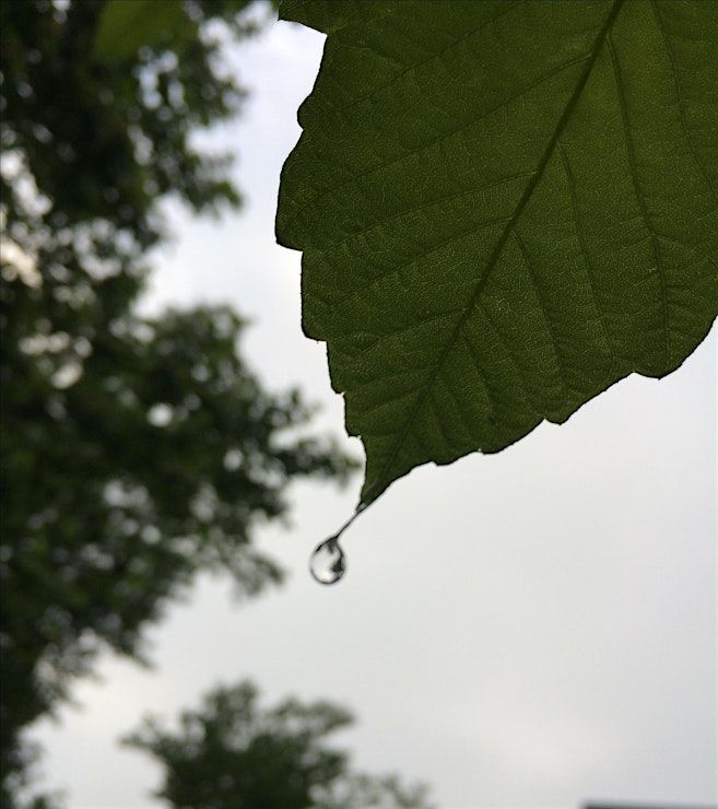 Gentle Nature Bathing with Noa at Red Gate Park, Rockville on 17th ...