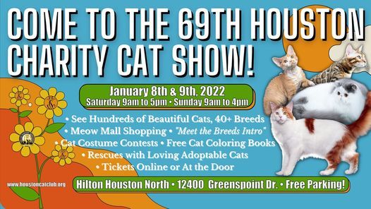 Come To The 69th Houston Cat Club Charity Cat Show | Hilton Houston ...