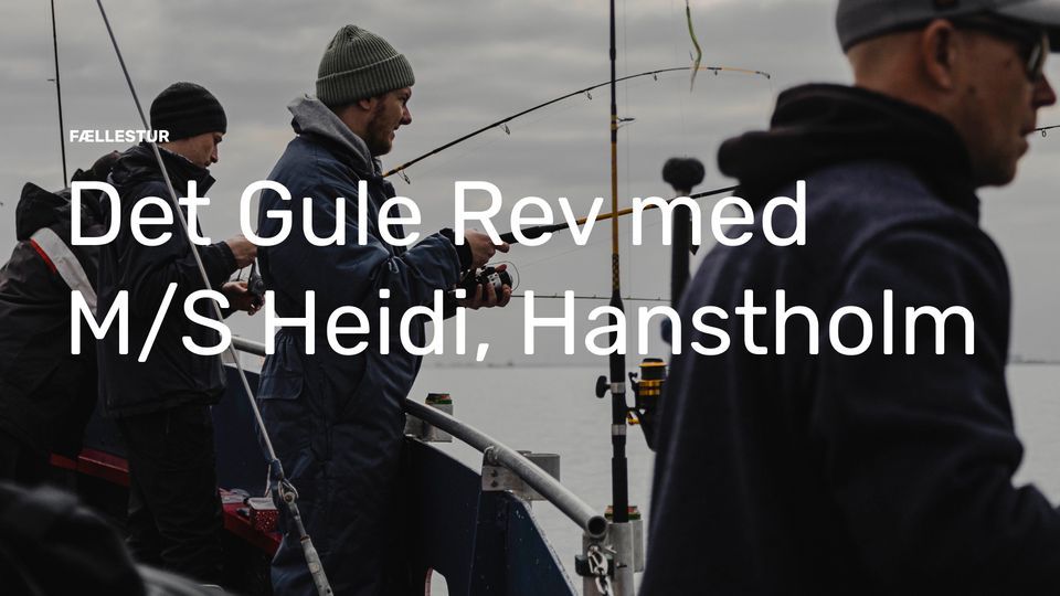 FULDT BOOKET Det Gule Rev med M/S Heidi, Hanstholm at Hanstholm Havn ...