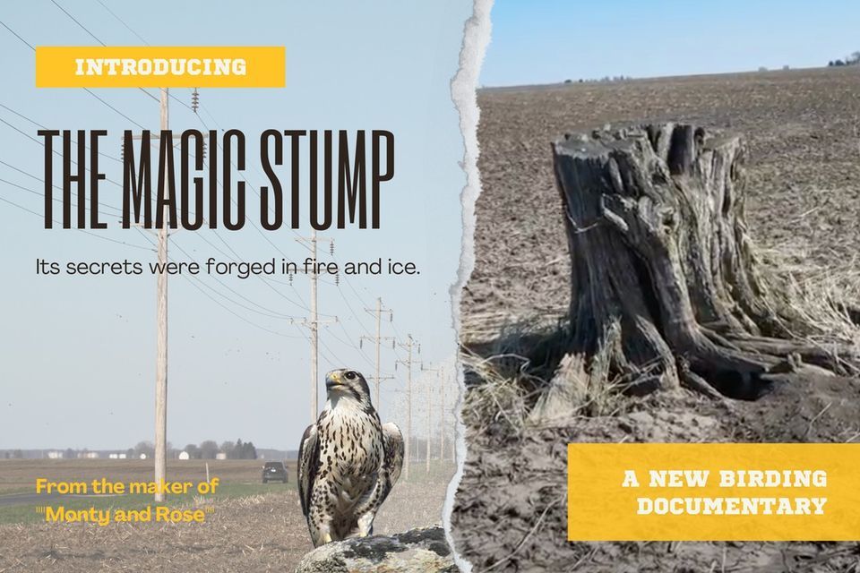 THE MAGIC STUMP: A New Birding Documentary | The Virginia Theatre ...