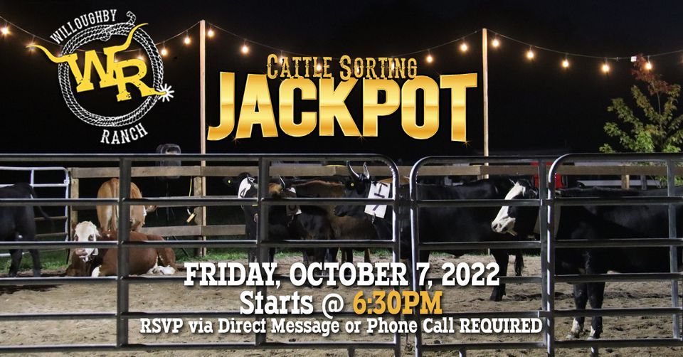 Cattle Sorting JACKPOT at Willoughby Ranch at Willoughby Ranch, Niagara ...