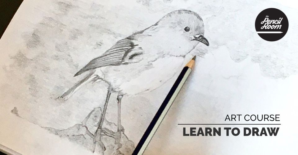 Learn To Draw - Beginners Drawing Course | Creative Arts Napier | May 9, 2023