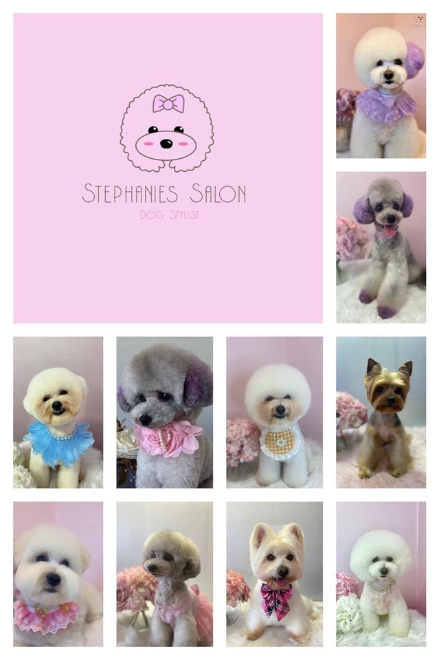 Asian style and freestyle Seminar with Stephanie O Connor at Kilmacow ...