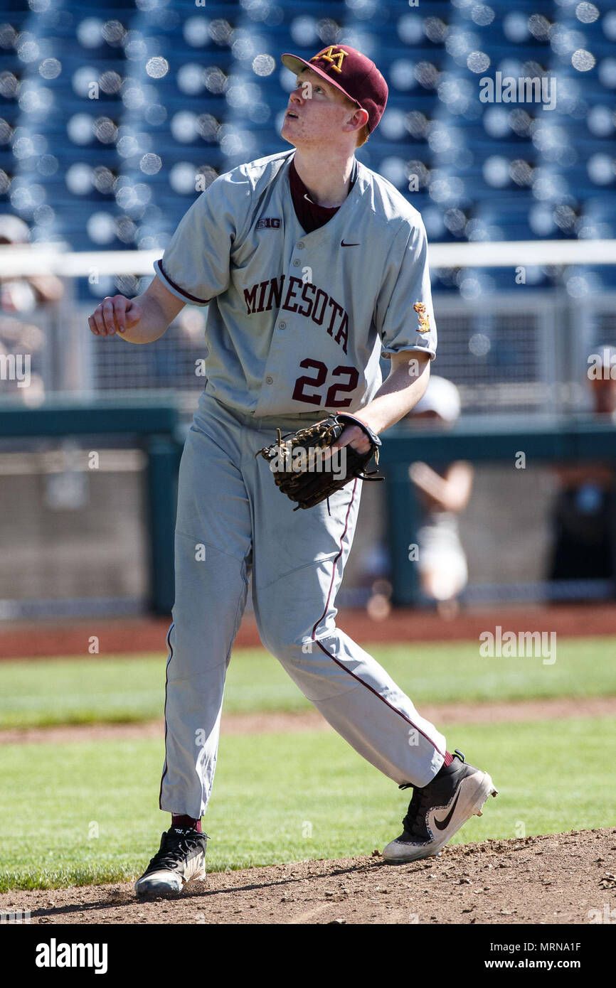 Minnesota Golden Gophers at Ohio State Buckeyes Baseball | Bill Davis ...