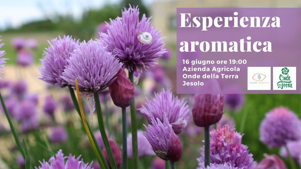 Esperienza Aromatica in campo at Onde della Terra, Jesolo on 16th June ...