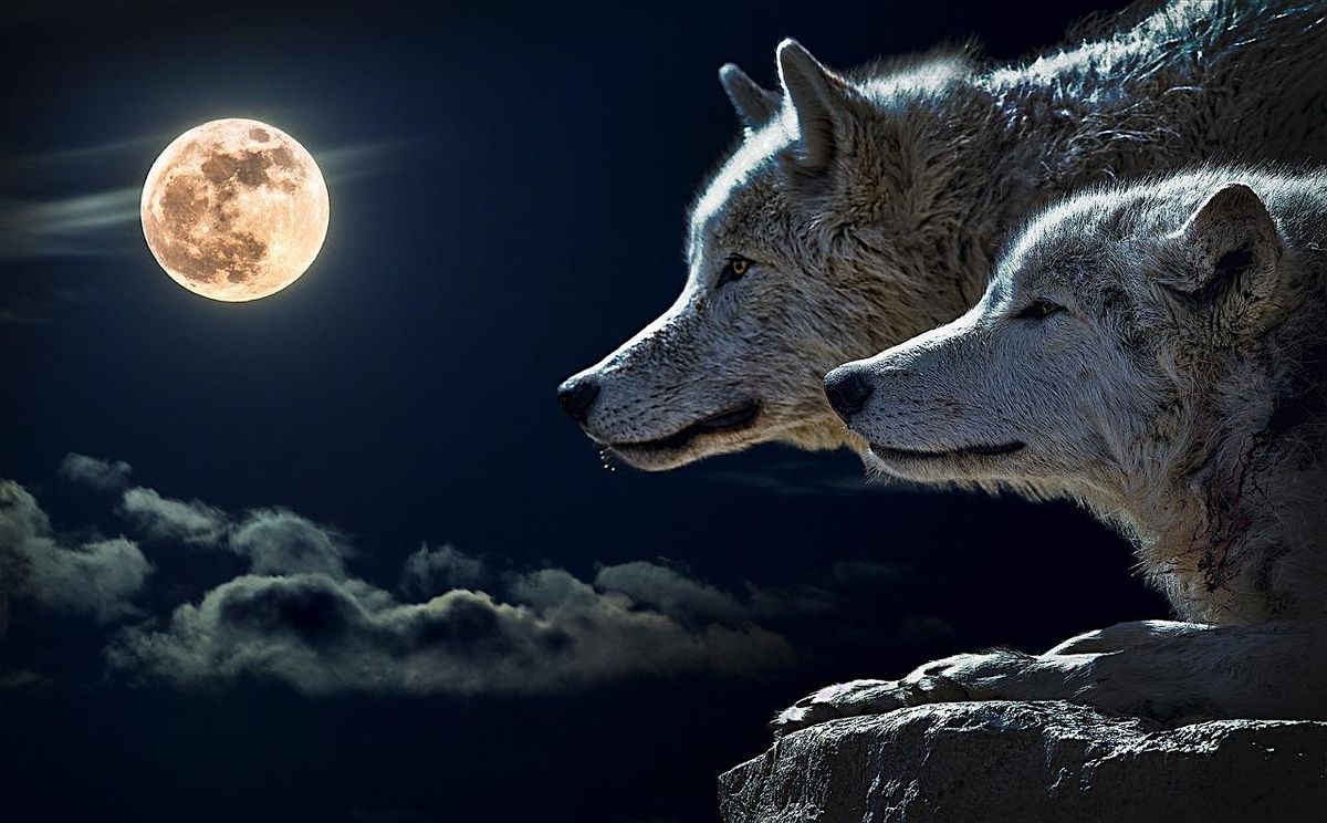 Wolf Moon Sound & Ceremony: Calling in Inner Strength at 3618 SW Alaska St, Seattle on 9th ...