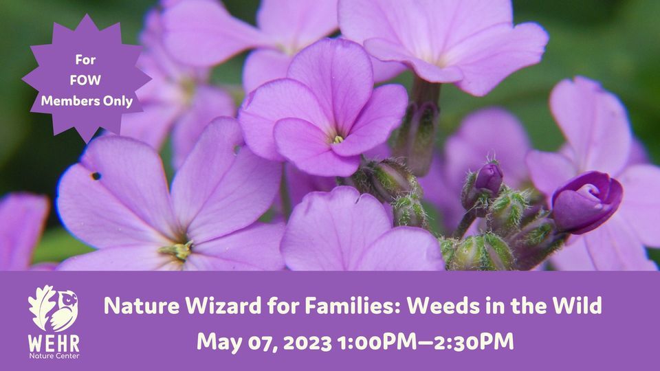 Nature Wizard for Families: Weeds in the Wild at Wehr Nature Center ...