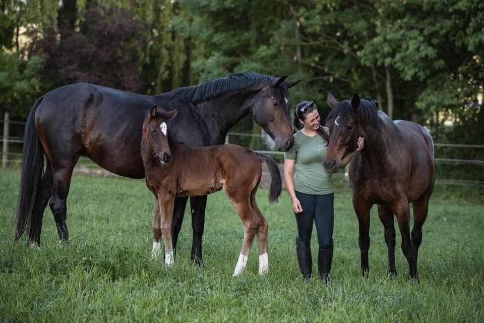 Liberty After work - Beziehung pur mit Nina Irsigler 3* und Martin ...