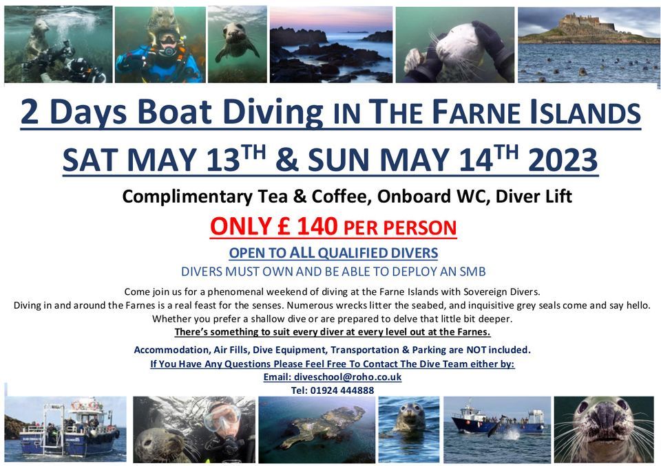 Boat Diving with Sovereign Divers in The Farne Islands May 2023 ...