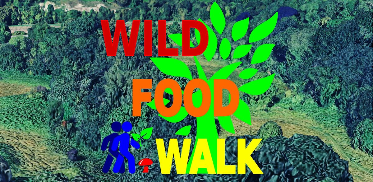 January Sea Mills (Bristol) Wild Food Foraging/ Forager Walk. at Sea ...