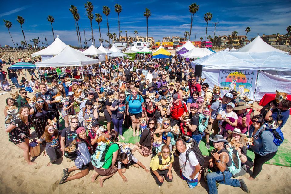 SoCal Corgi Beach Day 2022 | Huntington Dog Beach, Huntington Beach, CA ...