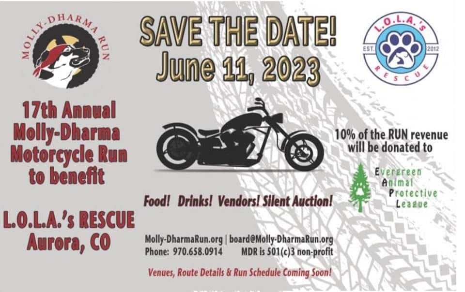 17th Annual Molly-Dharma Run for No K*ll Animal Shelters! at Wheelz Bar ...