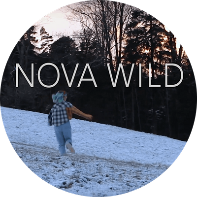 Nova Wild + Adult Swim en concert at L'Armony, Montreuil on 2nd June, 2023