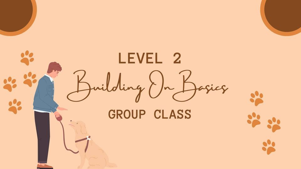 Level 2 - Building On Basics at All About Dogs, Chagrin Falls on 16th ...