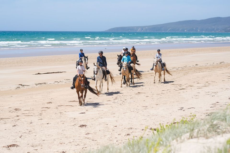 Explore Tasmania 3 day horse-riding trek at Cradle Country Adventures ...