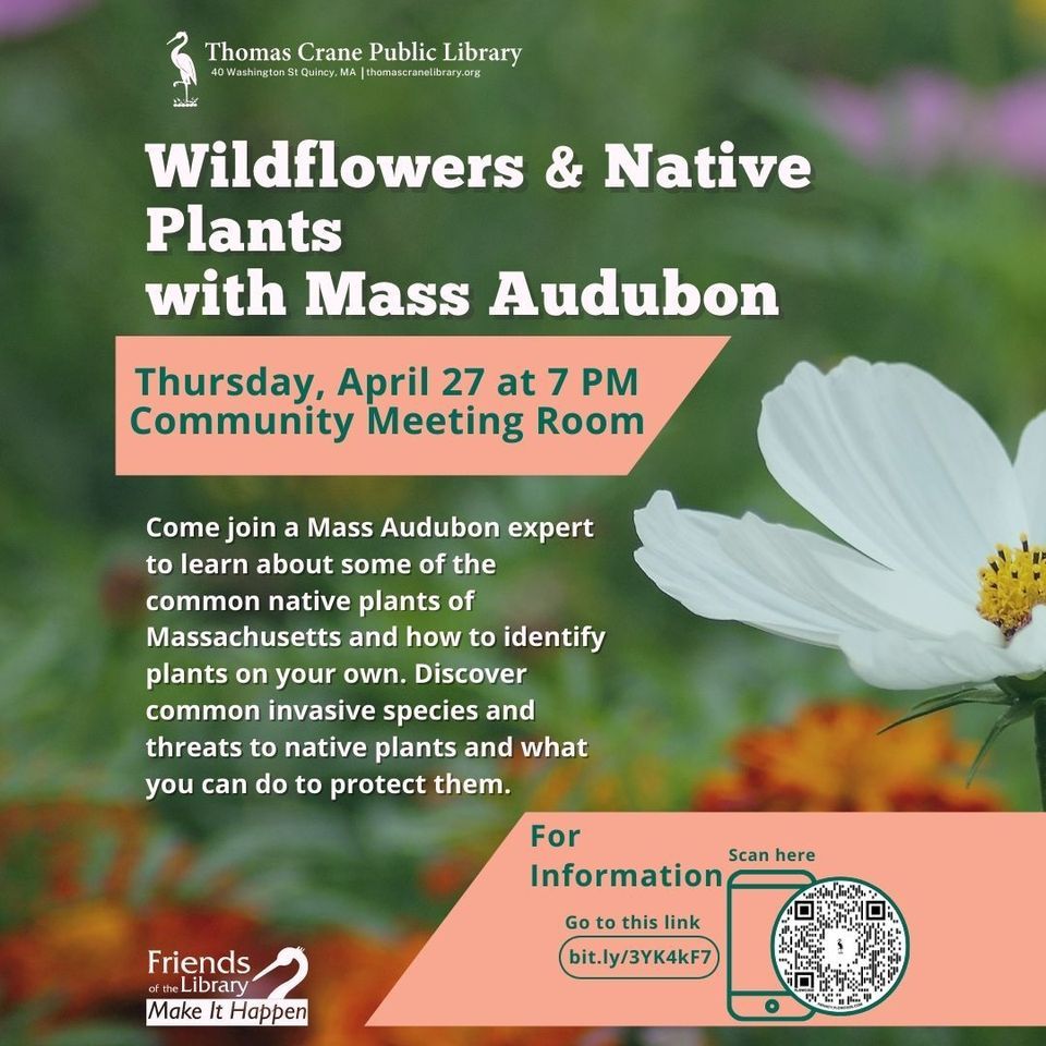 Wildflowers and Native Plants with Mass Audubon | Thomas Crane Public ...