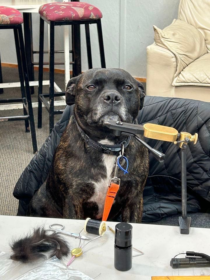 Tuesdays fly tying 2nd and 4th of month | Taupo Fishing Club | June 13 ...