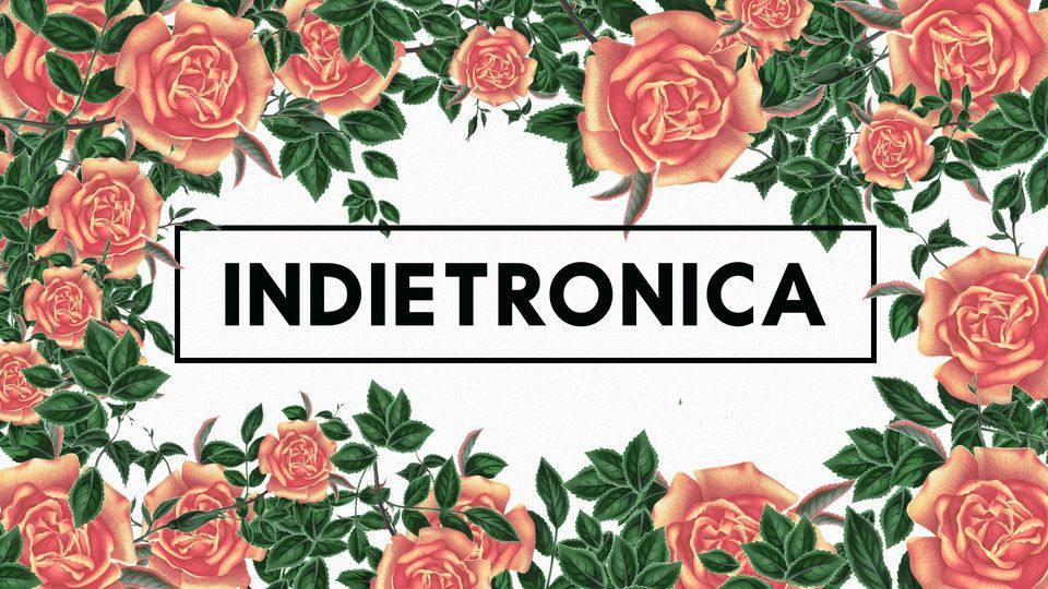 Indietronica | KC Dunaj~ at KC Dunaj, Bratislava on 5th August, 2022