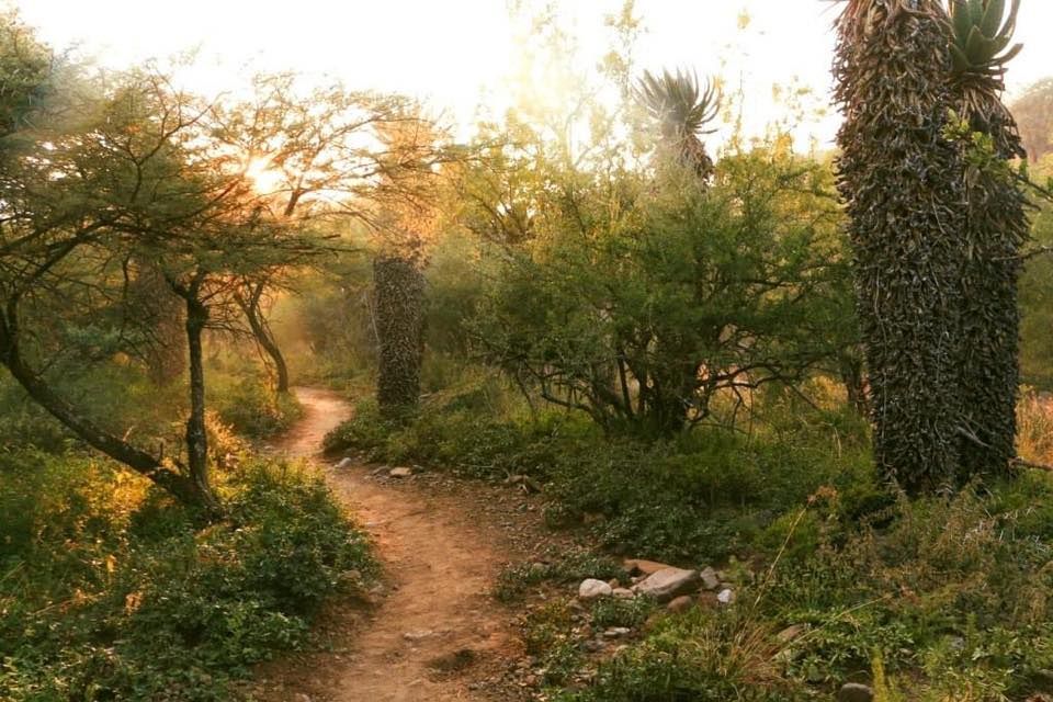 Zingela Trail Run 2022 | Zingela Safari and River Company, Tema | May 6 to May 8