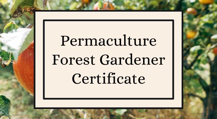 Permaculture Forest Gardener Certificate Course at The Resiliency ...