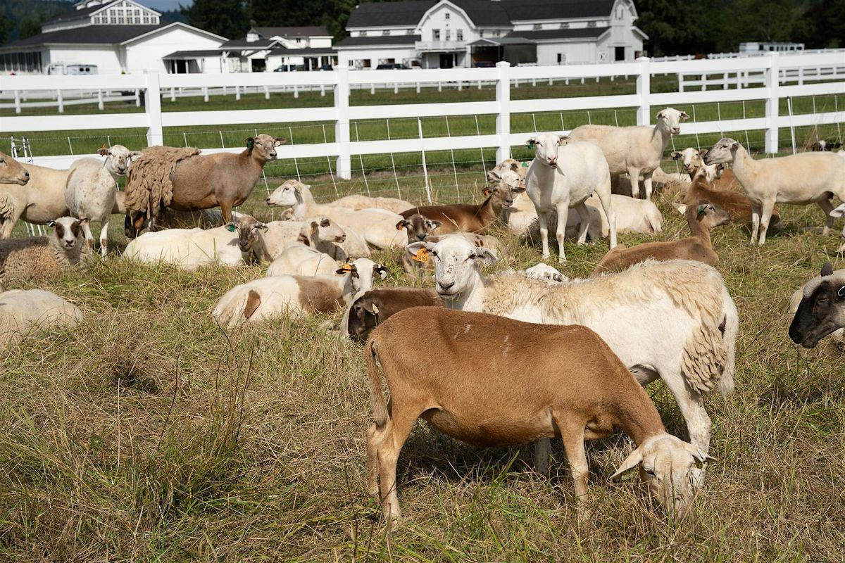 Rotational Grazing Workshop to Build Skills for Farmers at Carnation ...