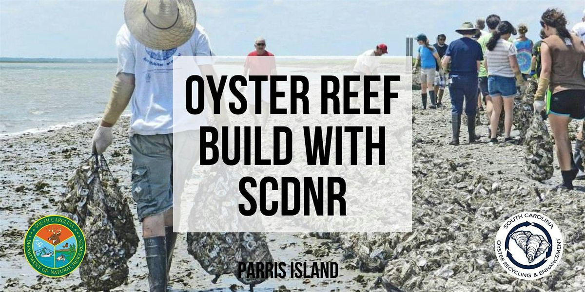 Oyster Reef Build at 21 Marina Blvd, Beaufort on 25th June, 2026