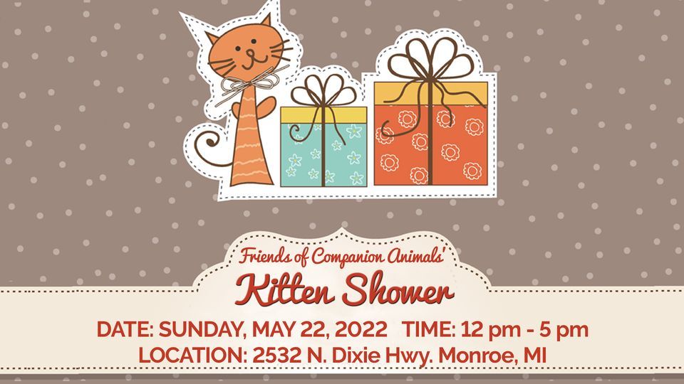 FOCA 4th Kitten Shower Friends Of Companion Animals Feline Rescue foca-4th-kitten-shower-friends-of-companion-animals-feline-rescue