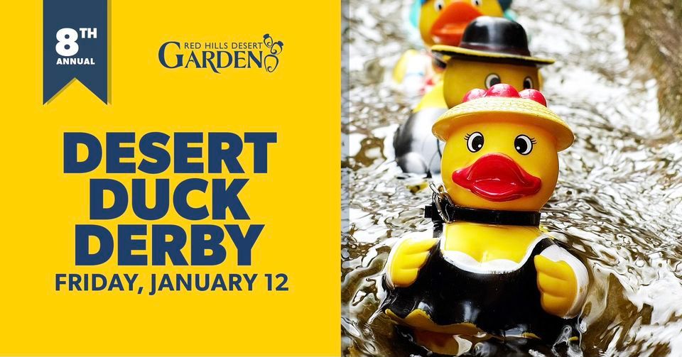 Desert Duck Derby at Red Hills Desert Garden, St. George on 12th ...
