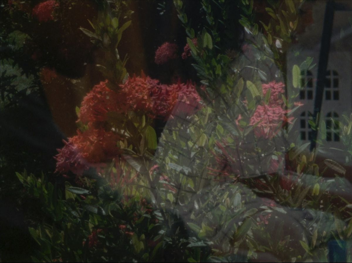 Fleapit Cinema presents | Rites of Passage: A Miryam Charles ...