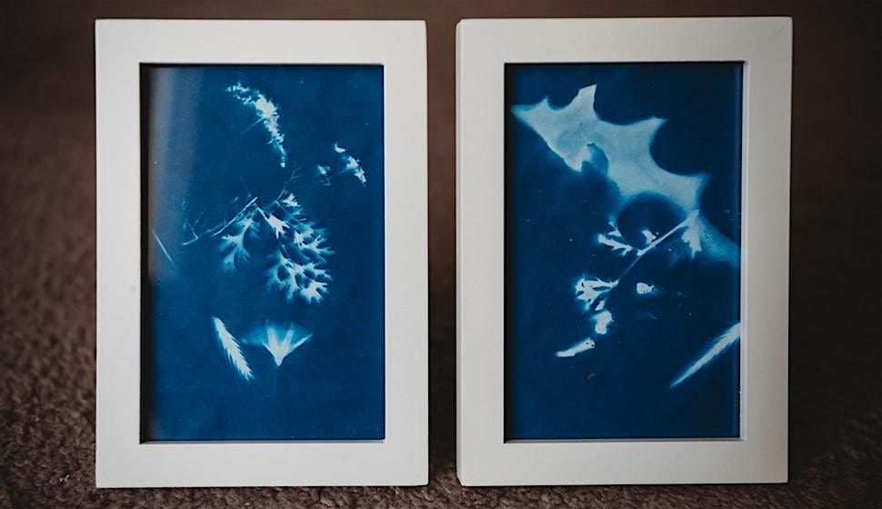 Vision Kids: Cyanotypes AM at The Vision Gallery, Chandler on 28th ...