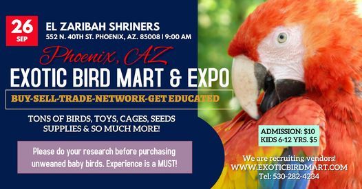 Phoenix Exotic Bird Mart & Expo at El Zaribah Shrine, Phoenix on 26th ...