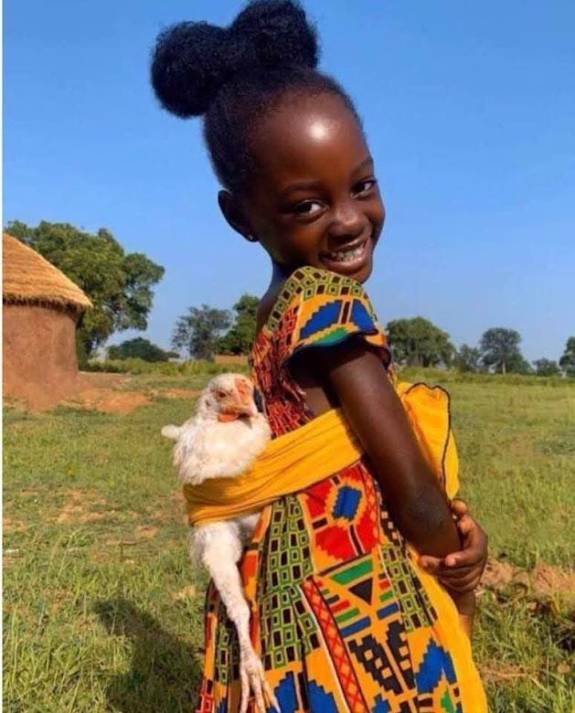 Books Without Borders and Blue Lion | 5724 Division Rd West Bend WI ...