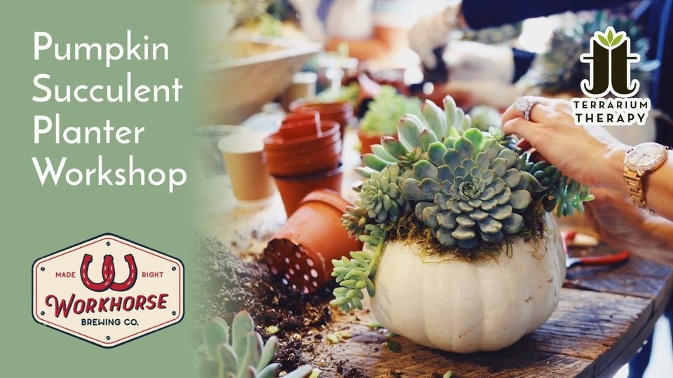 In-Person Pumpkin Succulent Workshop at Workhorse Brewing Company | Workhorse Brewing Company ...