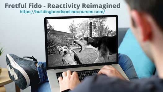 Behavior Adjustment Training (BAT) Reactivity Intensive at Building ...