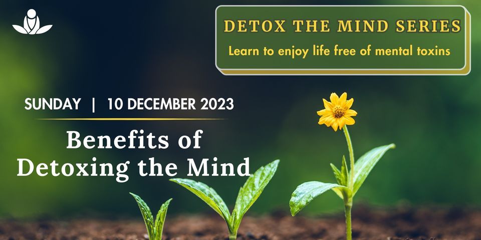 Benefits of Detoxing the Mind at Comfort Inn & Suites Burwood on 10th ...