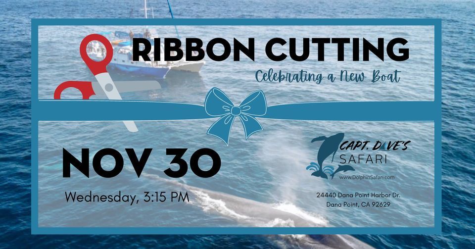 Ribbon Cutting: Capt. Daves | Capt. Dave's Dana Point Dolphin & Whale ...