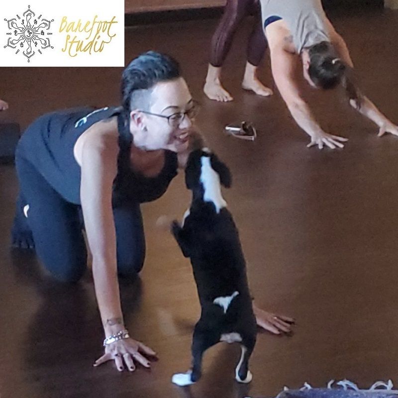 Puppies and Poses for Pathways for Paws (SOLD OUT) at Barefoot Studio ...