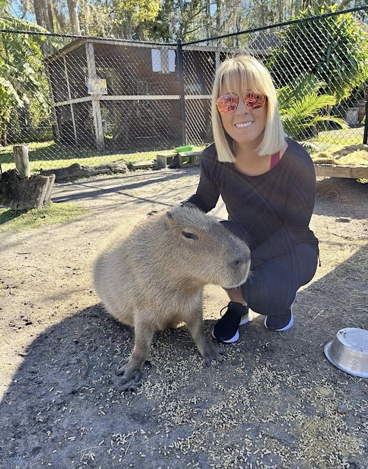 Capybaras at Sunset at Amazing Animals Inc, SAINT CLOUD on 25th March, 2023