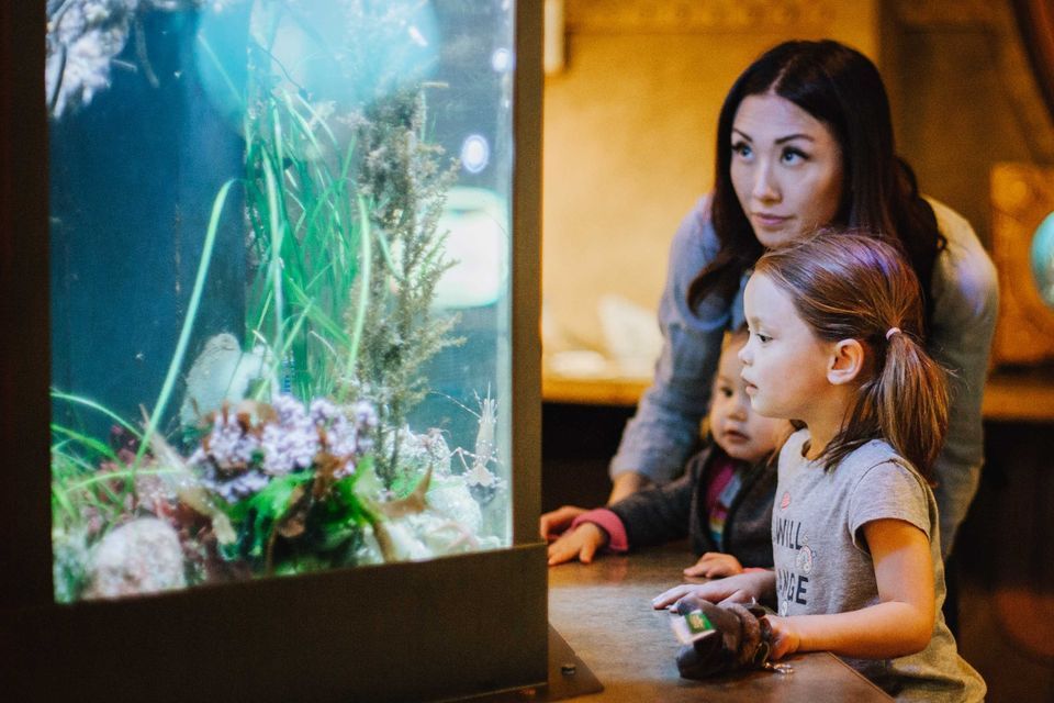 Ocean Week Victoria Story Time at Royal BC Museum, Sooke on 4th June, 2023