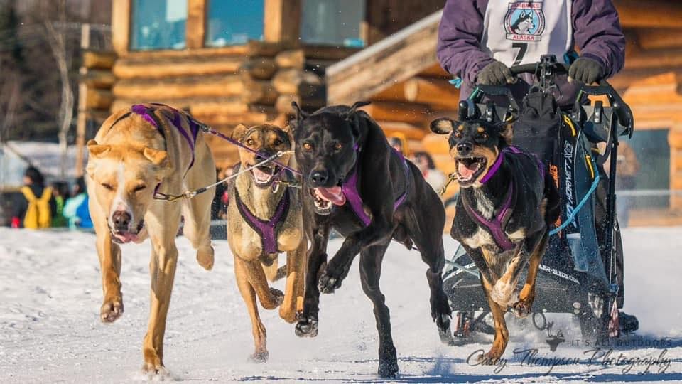 Prelim 1 | Alaska Dog Mushers Association, Fairbanks, AK | January 1, 2023