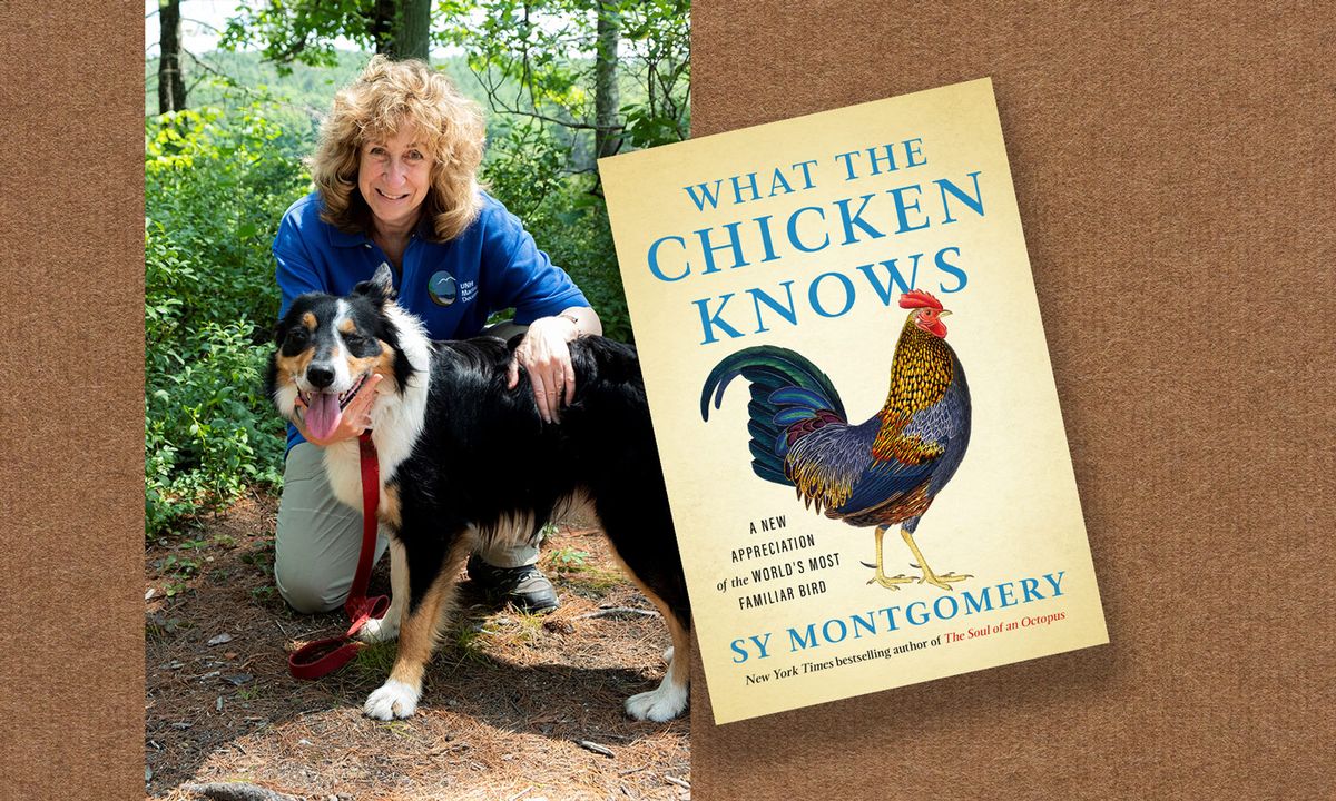 What the Chicken Knows - Sy Montgomery at Arts at the Armory ...