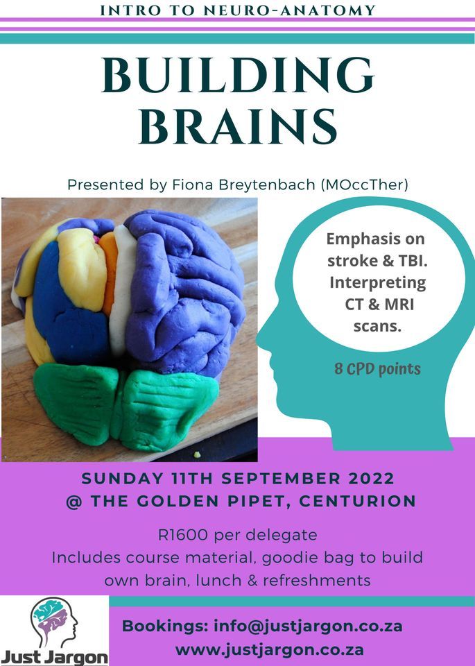 Building Brains; an introduction to Neuro-anatomy | Golden Pipit Country Conference Centre ...