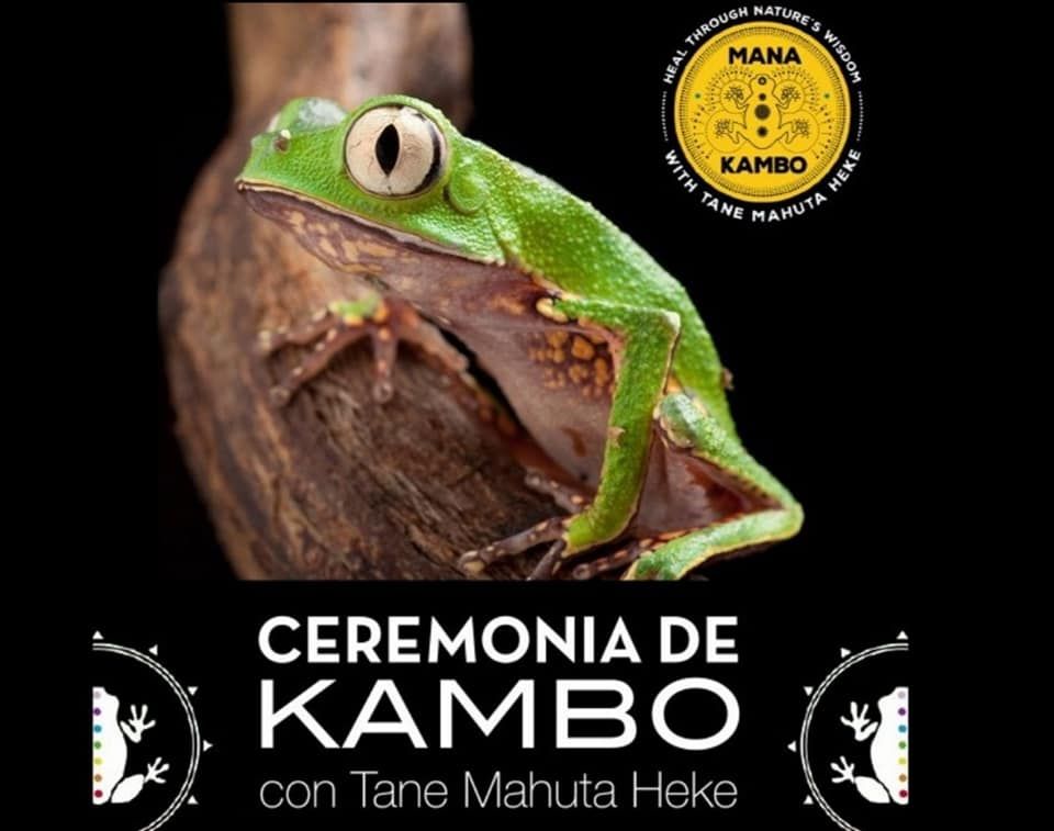Sacred Kambo Ceremony with Tane Mahuta Heke - Wellington 16th DEC ...