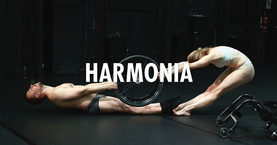 Harmonia // Adrienn Hód – Hodworks / Unusual Symptoms // Theater Bremen | Theater Bremen ...