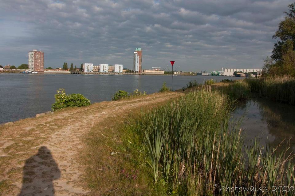 Wandelen op eiland De Zaag / Surfplas (5,5km / 10,5km) at De Zaag ...