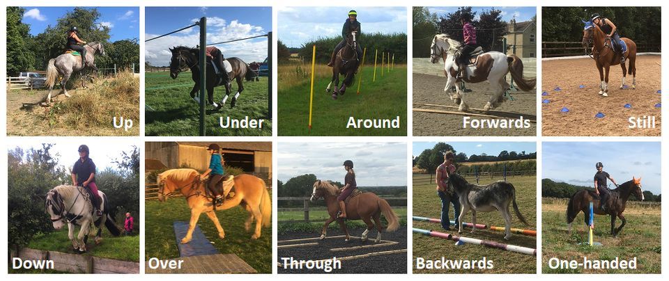 4-6 June Arena TREC & Beach Camp at Brigg View | Brigg View Farm ...